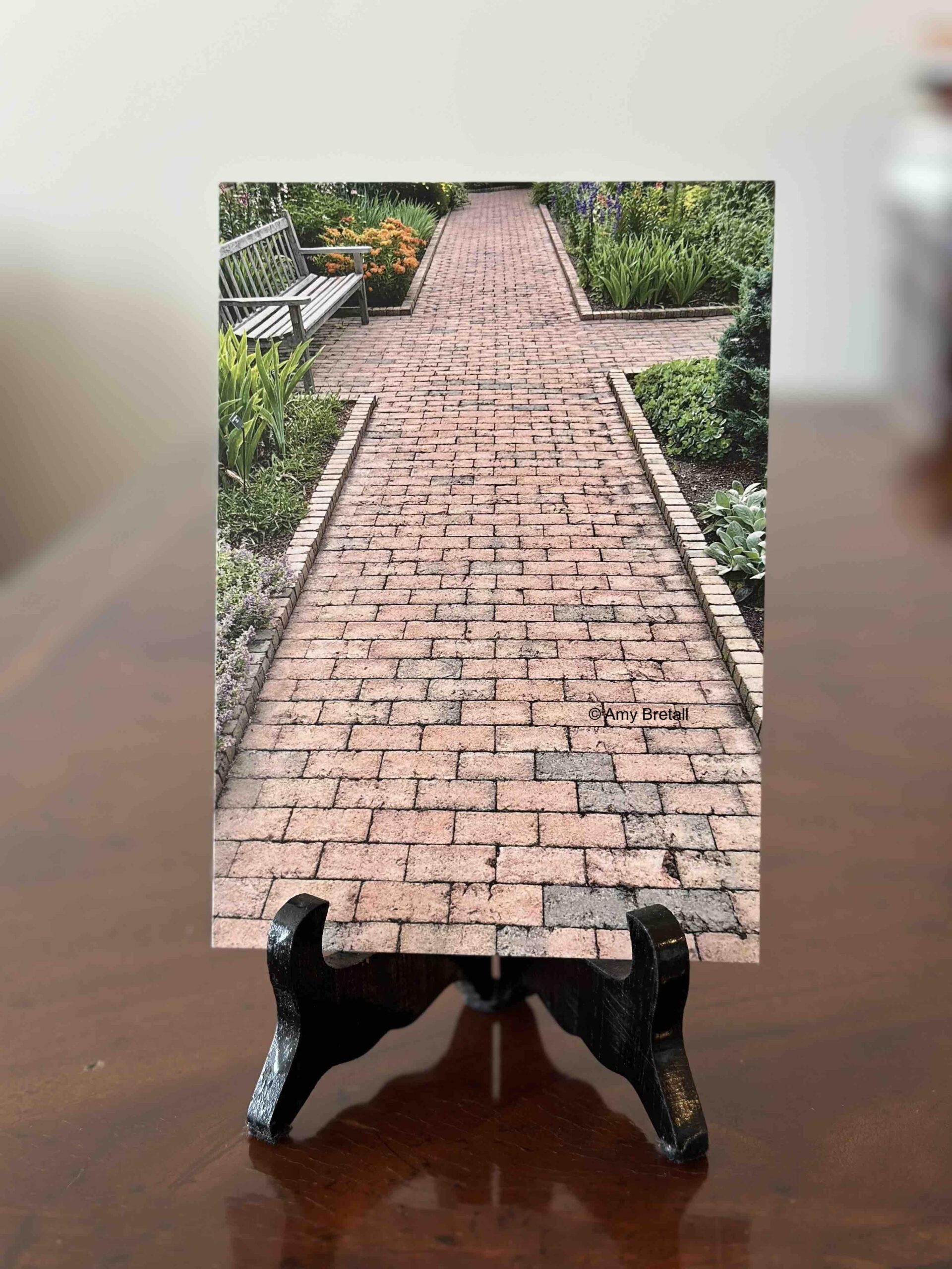 Stay on Your Path Print - Live Breathe Alive by Amy Bretall